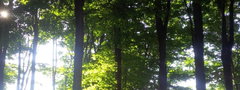 The worship service on Sunday, January 25, 2026 has been cancelled ...